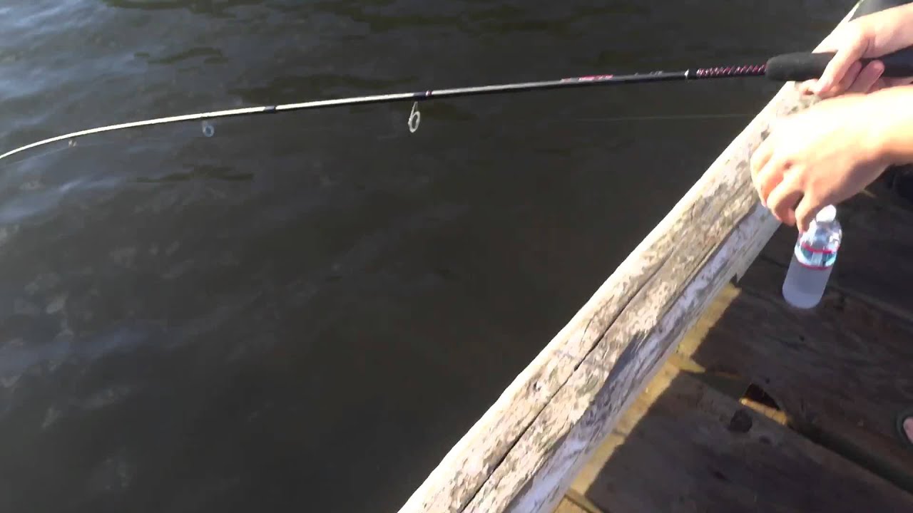 Weke Fishing Caught On Campania Lures - YouTube