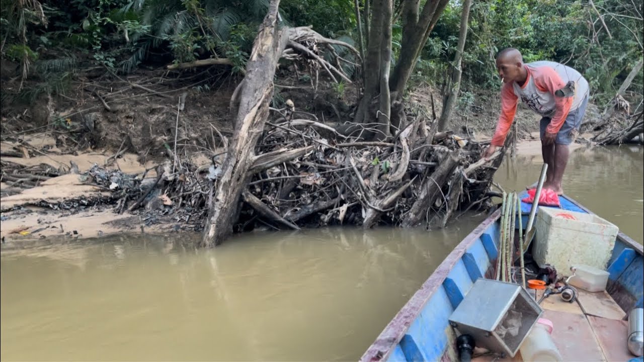 SUNGGUH BUKAN MITOS DI RUMPUKAN KAYU MEMANG SARANGNYA BERBAGAI MACAM ...