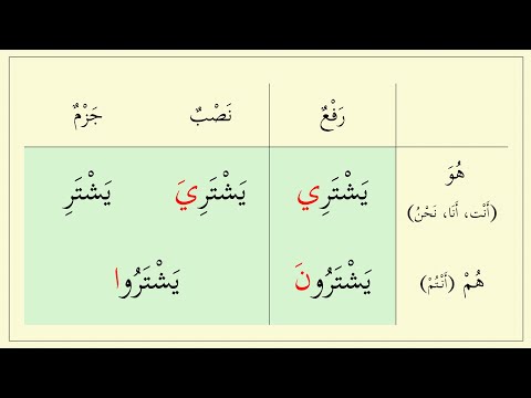 Признаки падежей у глагола (يشتري)