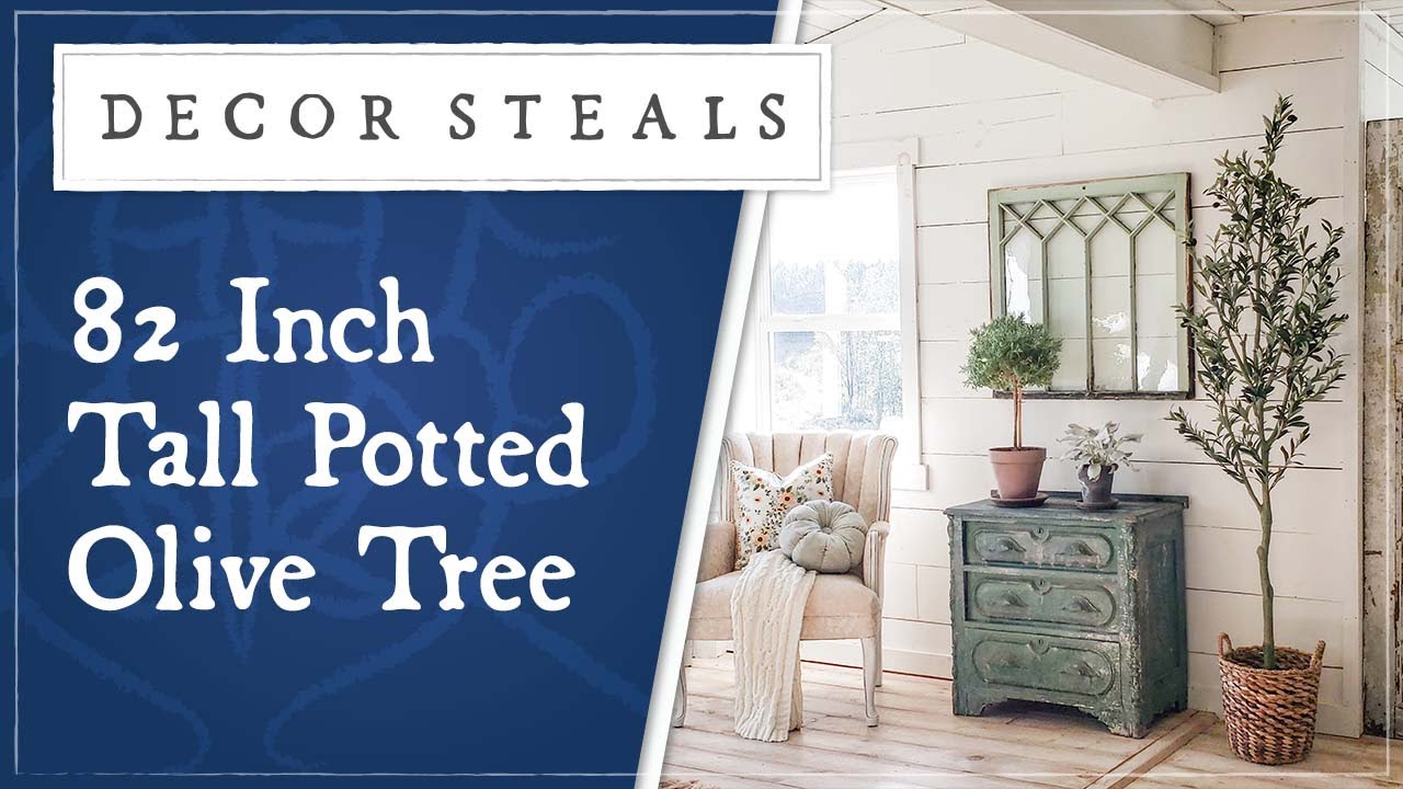 Decor Steals' 82 Inch Tall Potted Olive Tree - YouTube
