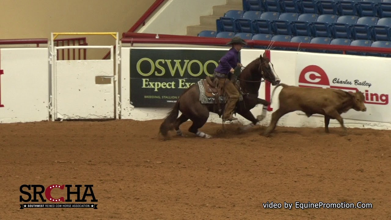 2017 SRCHA Champions Metallic Chrome Cat and Clay Volmer - YouTube