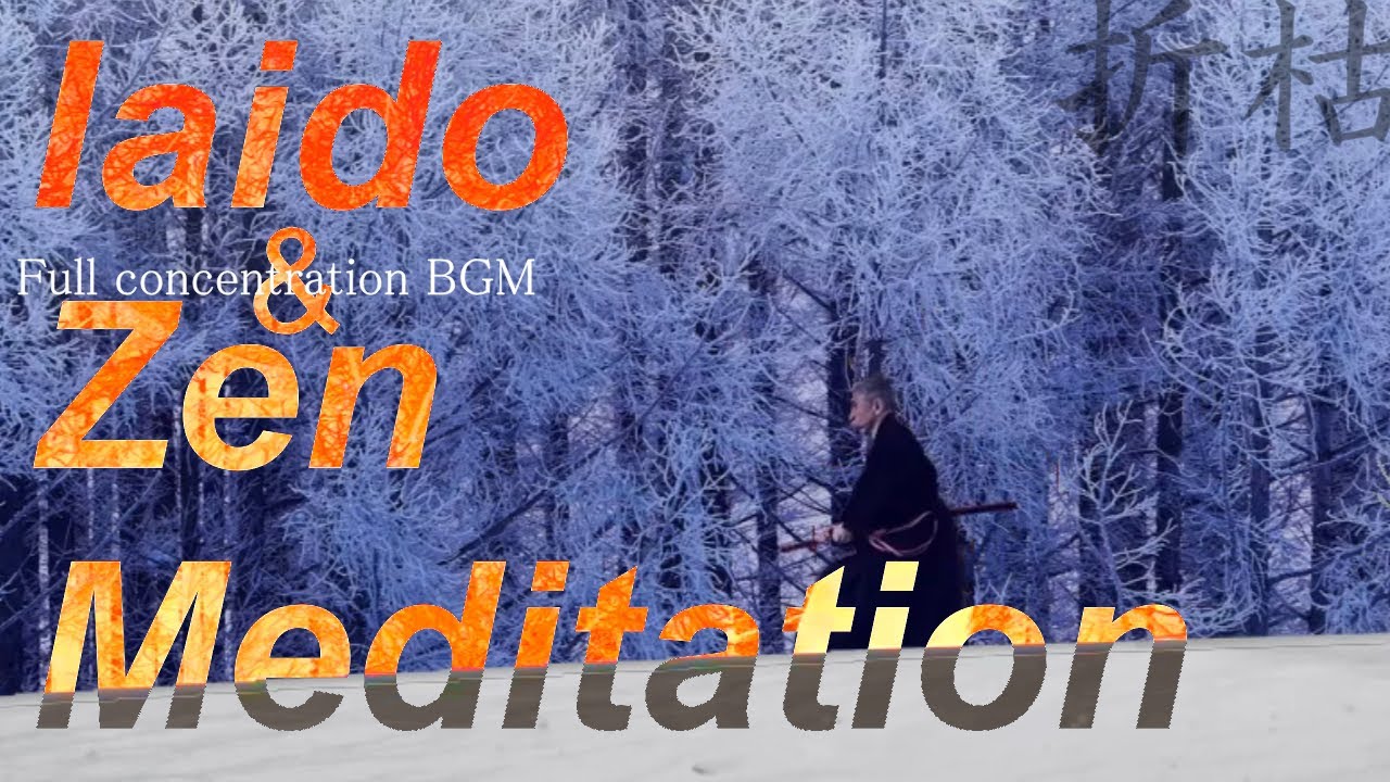 Iaido Meditation Part 20: 30 Minutes of Samurai Sword Training for Deep ...