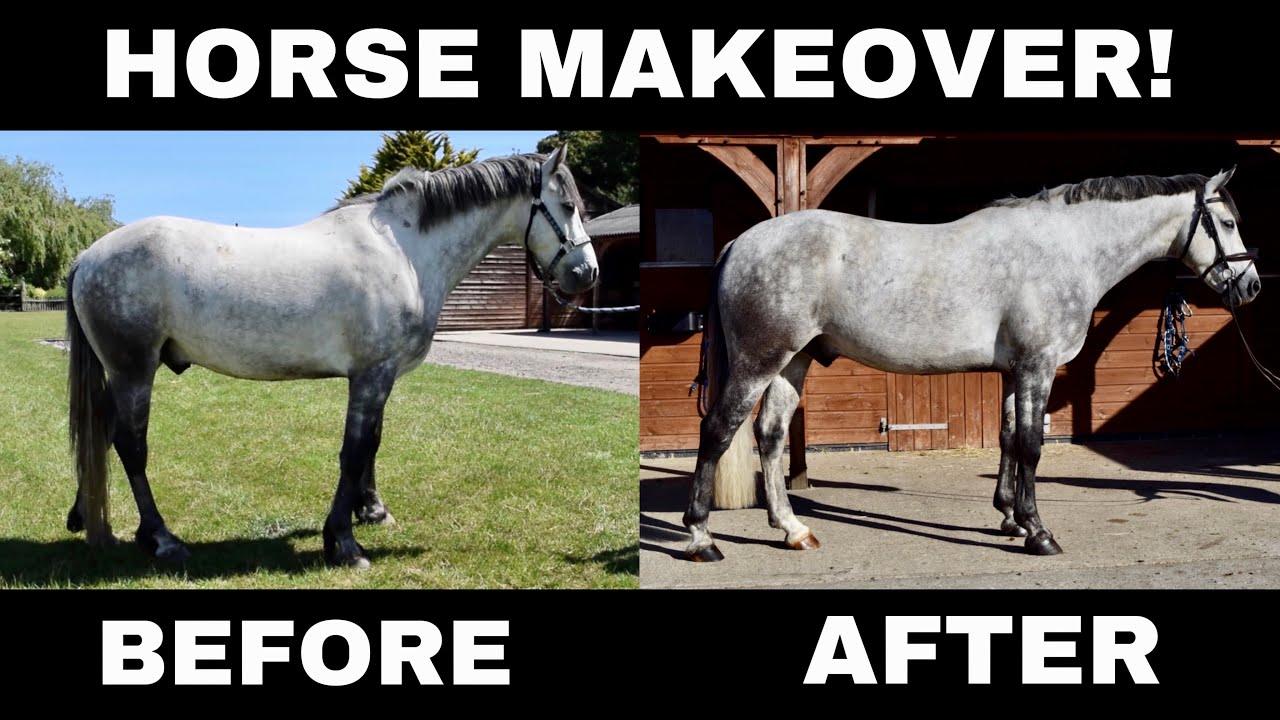 Giving My Horse a Makeover! //Johnny’s Transformation & Glow Up! - YouTube