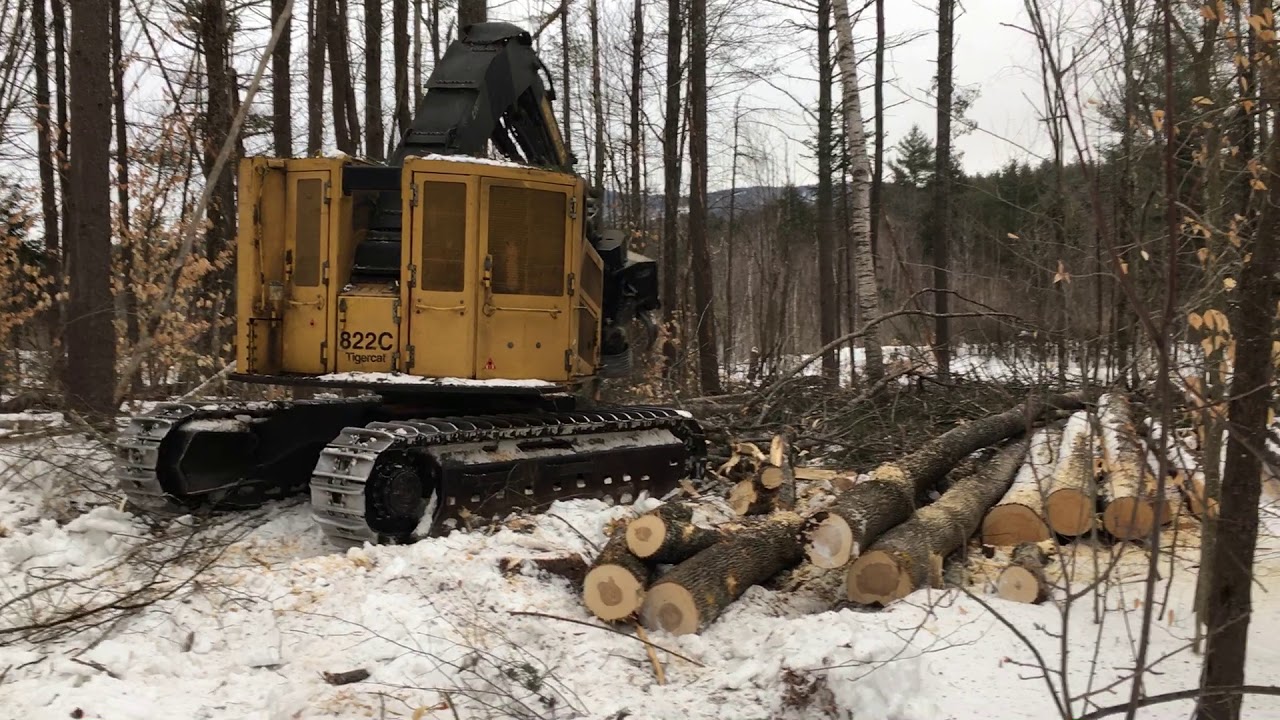 Tigercat 822C cut to length with Rolly head - Wilmot NH February 2021 ...