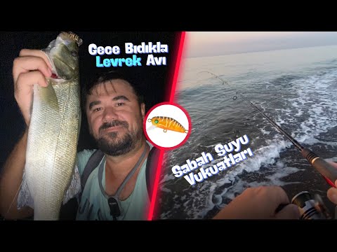LRF Gece Bıdıkla Levrek Avı / Tabaklık ve Balık Dolu Sabah Suyu / Hanfish Bıdık Ghost Fly #fishing 