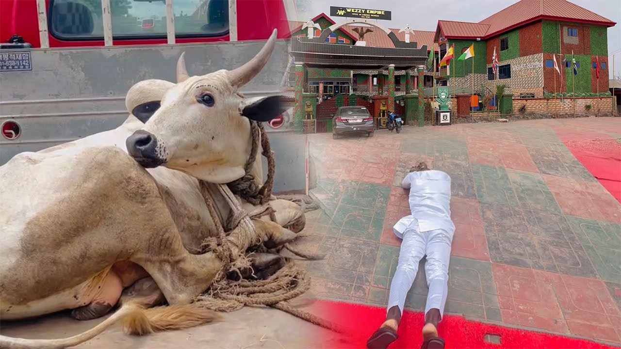 The Moment Kwadwo Nkansah roll on the Floor and gifted Stephen Adom ...