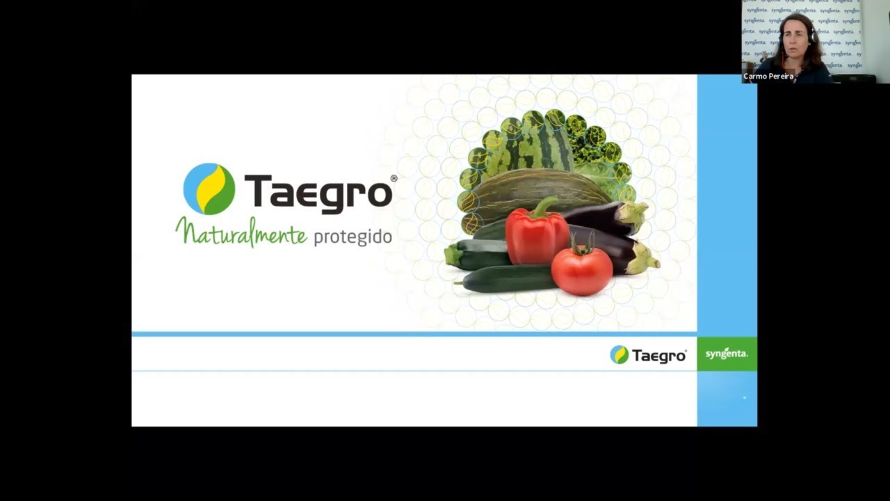 Webinar Lançamento Taegro - YouTube