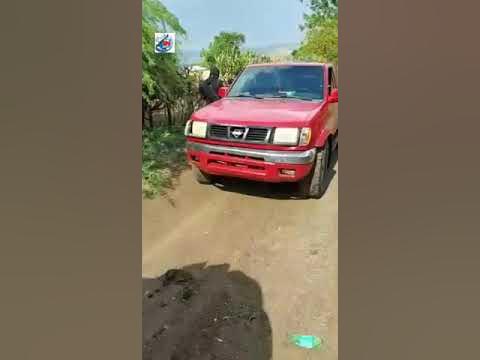 Men kijan yon pakèt moun nan pikèt kay chèf gang kokorat san ras la tankou kabrit ak bèf. - YouTube