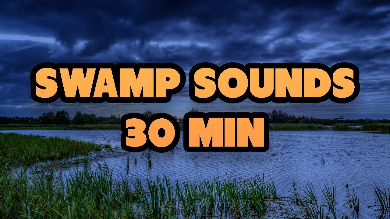30 mins of nature sounds | Swamp Sounds - Crickets and Frog sounds ...