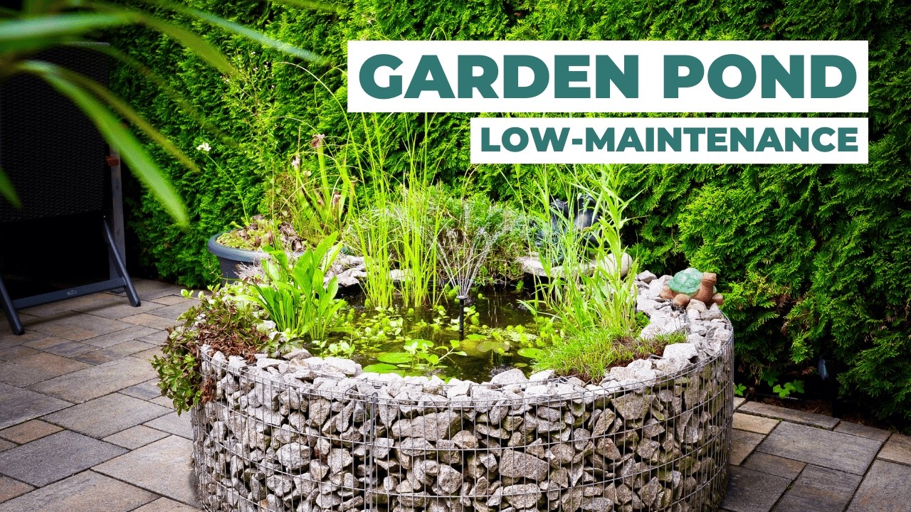 Build a Terrace Pond with Solar Filter | Low-Maintenance & Cheap - YouTube