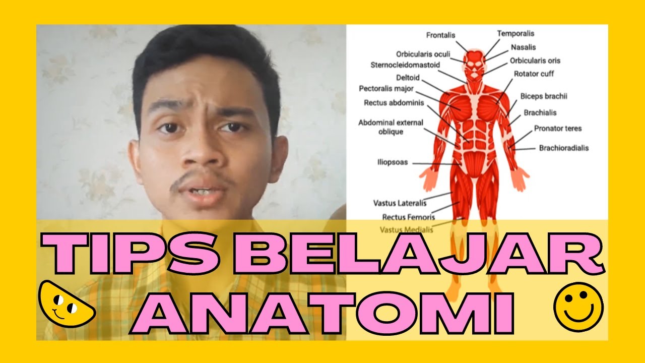 Cara Belajar Anatomi Manusia untuk Mahasiswa Kedokteran! - YouTube
