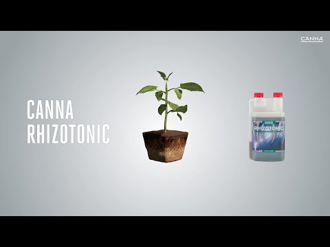 (UK) CANNA RHIZOTONIC