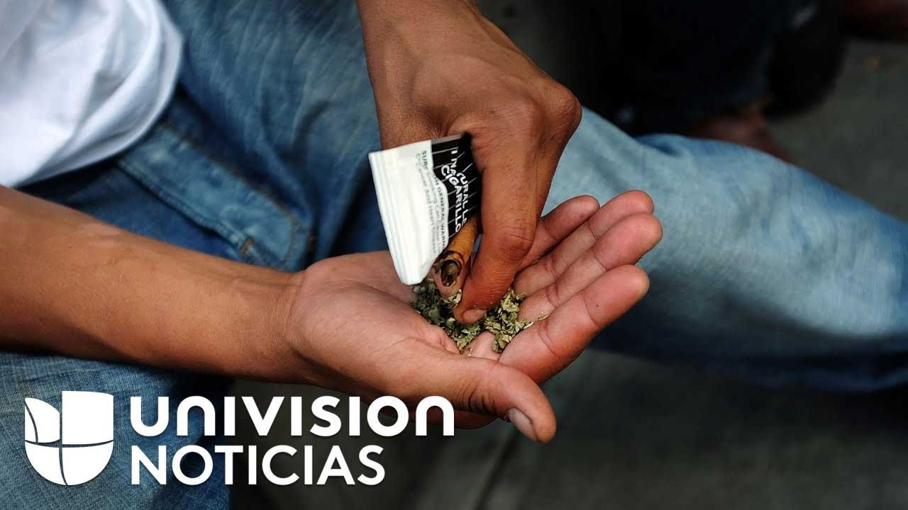 Autoridades advierten sobre riesgos de graves hemorragias por consumo ...