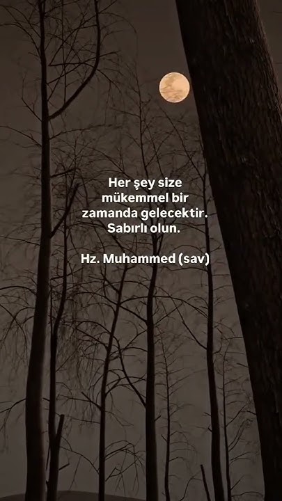 "Hayat bir yoldur... O yolda sabır gerekir, şükür gerekir.. Tevekkül gerekir, dua gerekir."🤲🏻🤲🏻🤲 ...