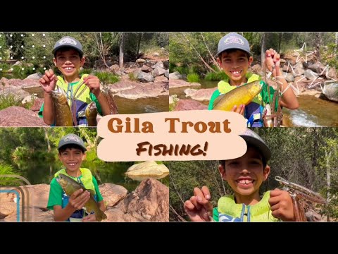 Gila Trout Fishing! - YouTube