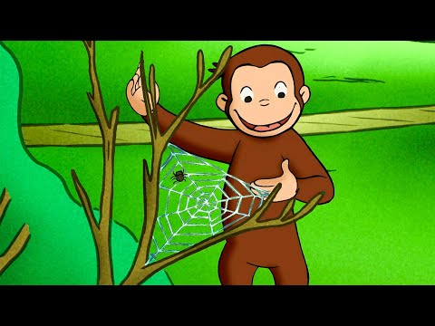 A Grande Teia de Aranha do George! 🐵 George, o Curioso 🐵 Desenhos Animados