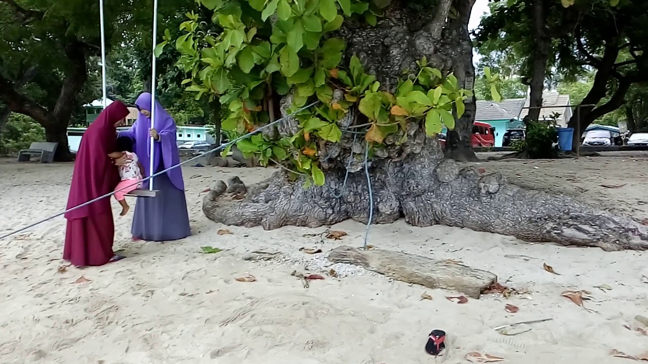 Pantai BAMA baluran - YouTube