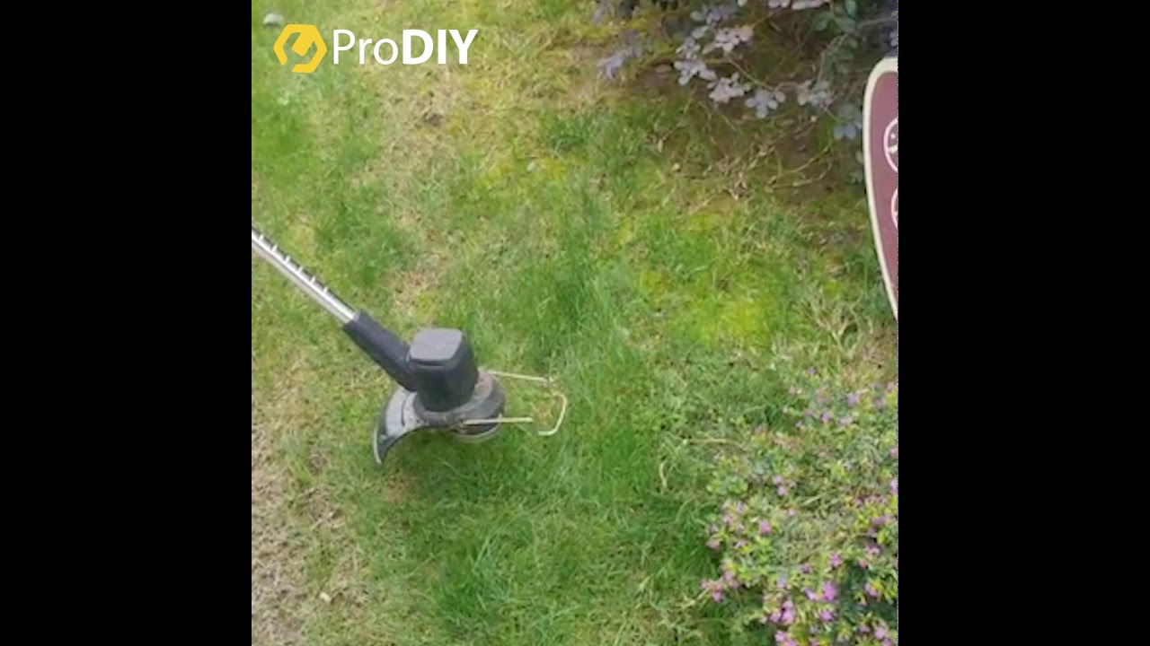 PRO' EKCO EK-GTW24V Electric Grass Trimmer Cutter Cordless Pruning ...