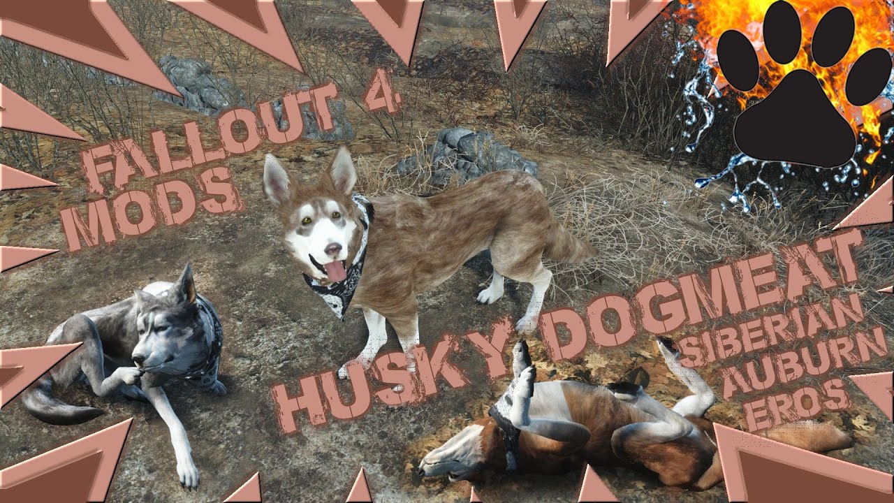 MOD : FallOut 4 - Husky Dogmeat - Siberian, Eros, Auburn - YouTube