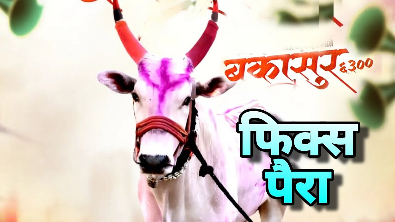 बकासुरचा फिक्स पैरा नाही कोणी ऐरा गैरा #bakasur #bakasursharyat # ...