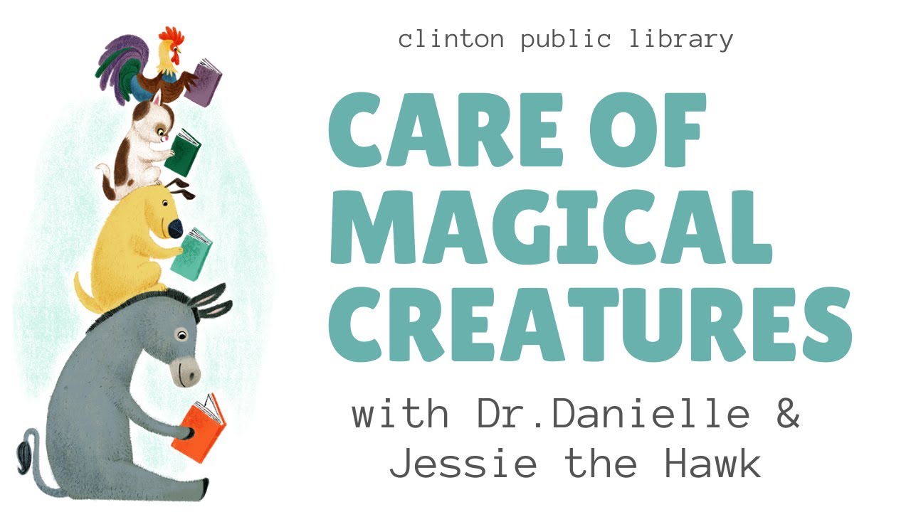 Care of Magical Creatures with Danielle and Hawk - YouTube