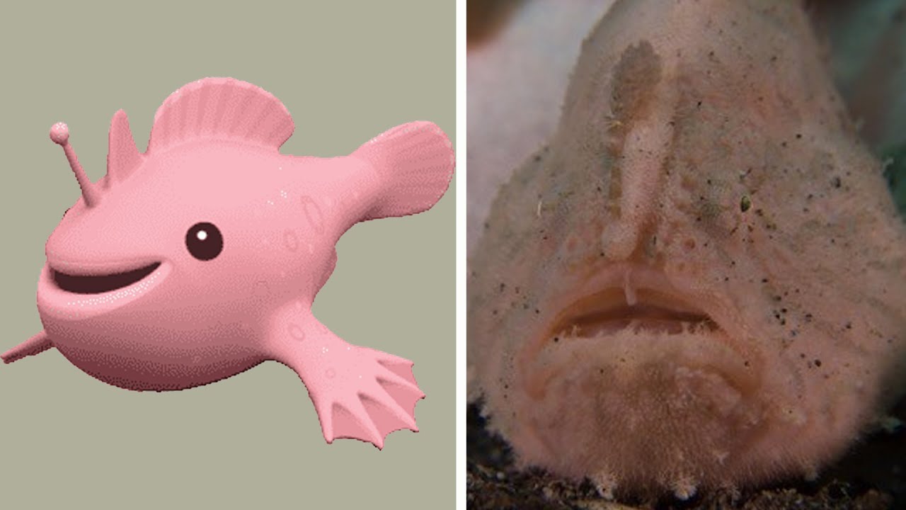 Anton In Real Life (Octonauts) - YouTube