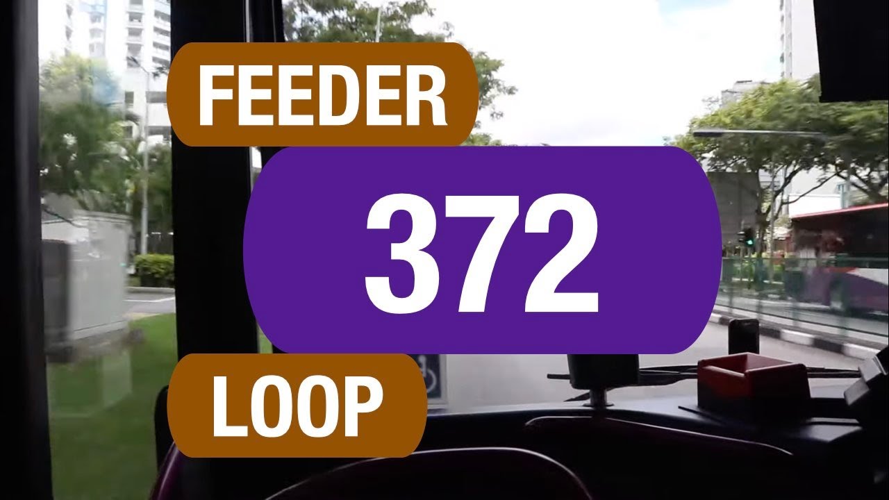 SBS Transit Feeder 372 | Bus Service Route Visual - YouTube
