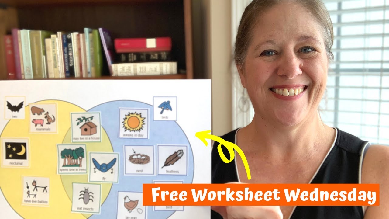 Free Worksheet Wednesday: Bats and Birds Venn Diagram - YouTube