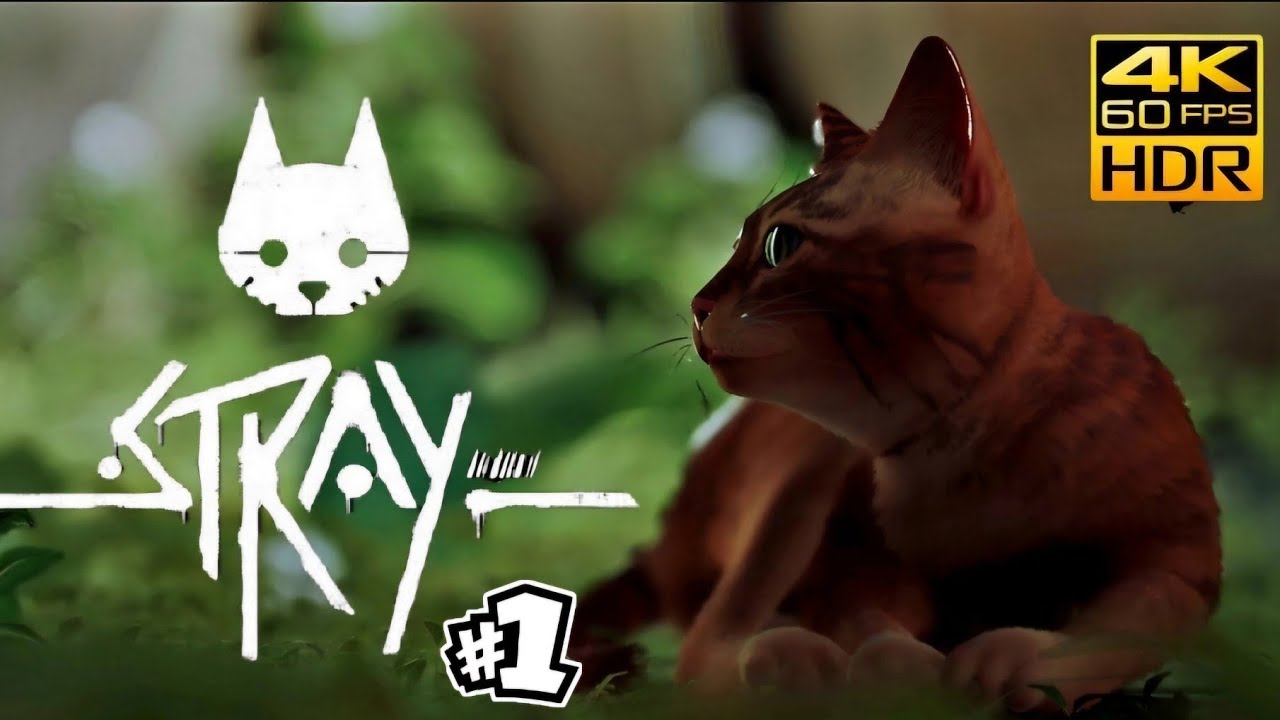 STRAY PS5 4K60 Fps Walkthrough Gameplay Part 1 - YouTube