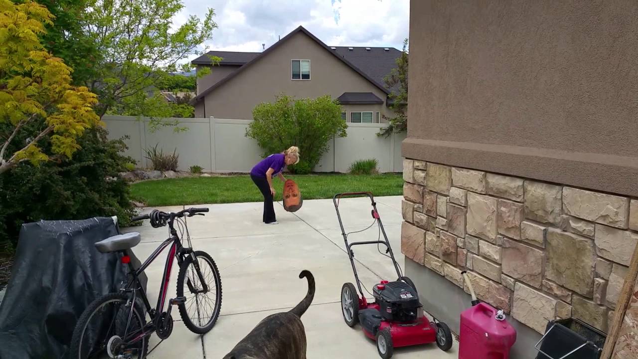 Dog hates Mitt Romney mask pt. 2 - YouTube