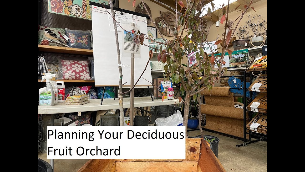 Planning Your Deciduous Fruit Orchard - YouTube