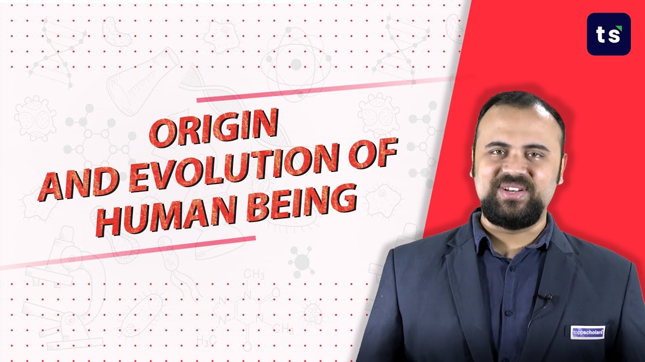 Origin and evolution of human being | Biology | Evolution | Homo ...