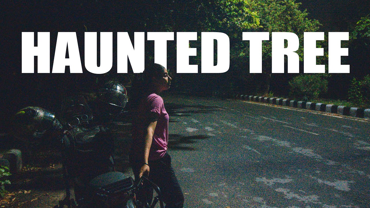 DWARKA HAUNTED TREE | Dwarka Sector 9 Haunted Road | Haunted Places of ...