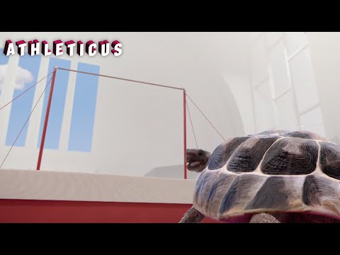 UP! 🐢 ATHLETICUS |  Cartoon in English