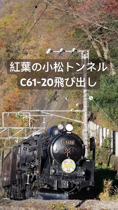 4Kshorts D51復活35周年 C61代走！小松TN紅葉 [JR EAST Joetsu-line] Steam locomotive C61−20 in autumn leaves ...