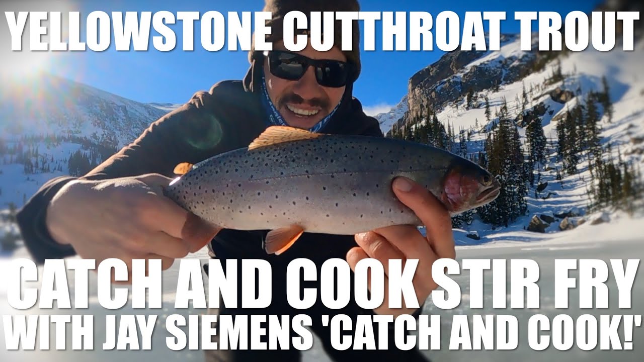 YELLOWSTONE CUTTHROAT TROUT CATCH AND COOK | Cooking With Seimens ...