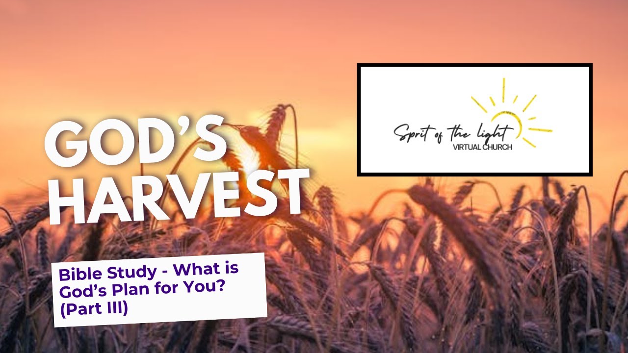 God's Harvest, Part 3 – Messianic Peace, First Fruits, and the Coming ...