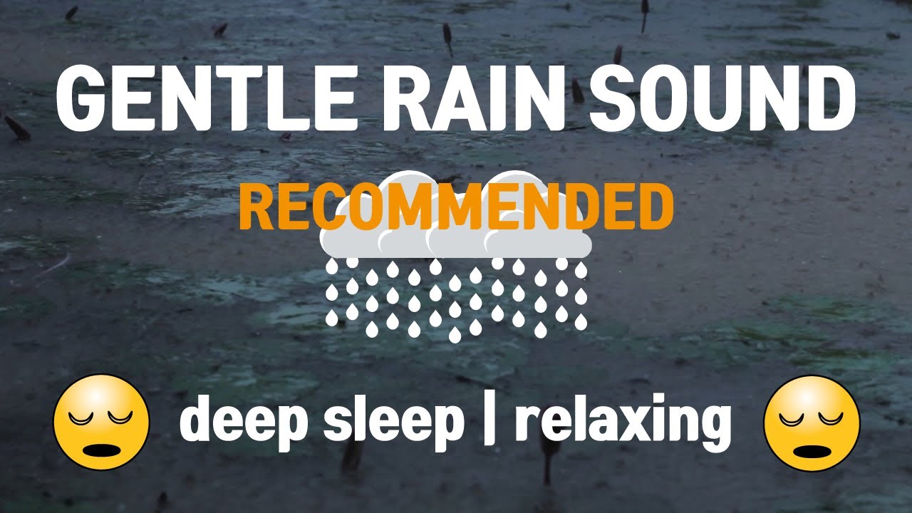 Rain Sleep | Gentle Rain Sounds for Sleeping | on the Pond ( Relaxing ...