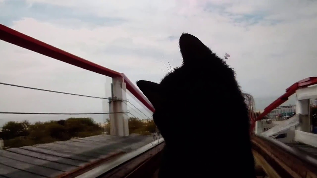 Magenta "rides" the Coney Island Cyclone - YouTube
