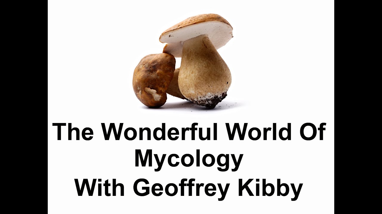 The Wonderful World of Mycology, with Geoffrey Kibby - YouTube