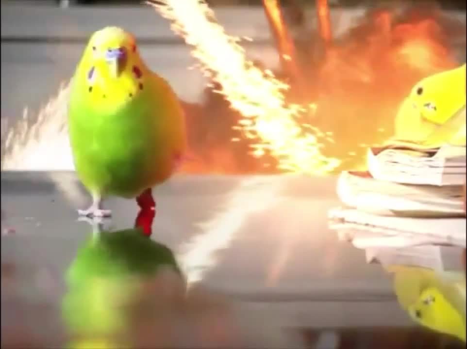 Epic Parrot Is Coming For You With Explosions | Worlds Best Action ...