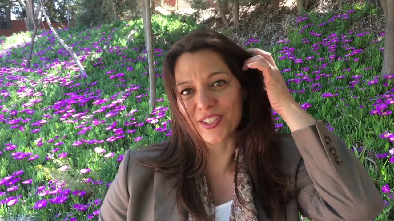 Aristoleo Awards 2017 1st Prize Awarded by HRH Princess Basma of Jordan ...