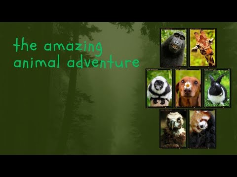 The Amazing Animal Adventure 2024 08 29 - YouTube