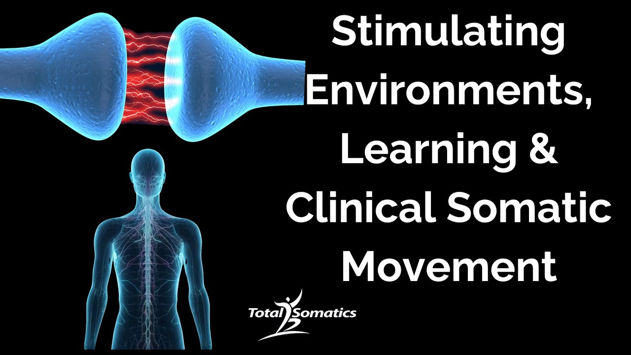 Stimulating Environments, Learning & Clinical Somatic Movement - YouTube
