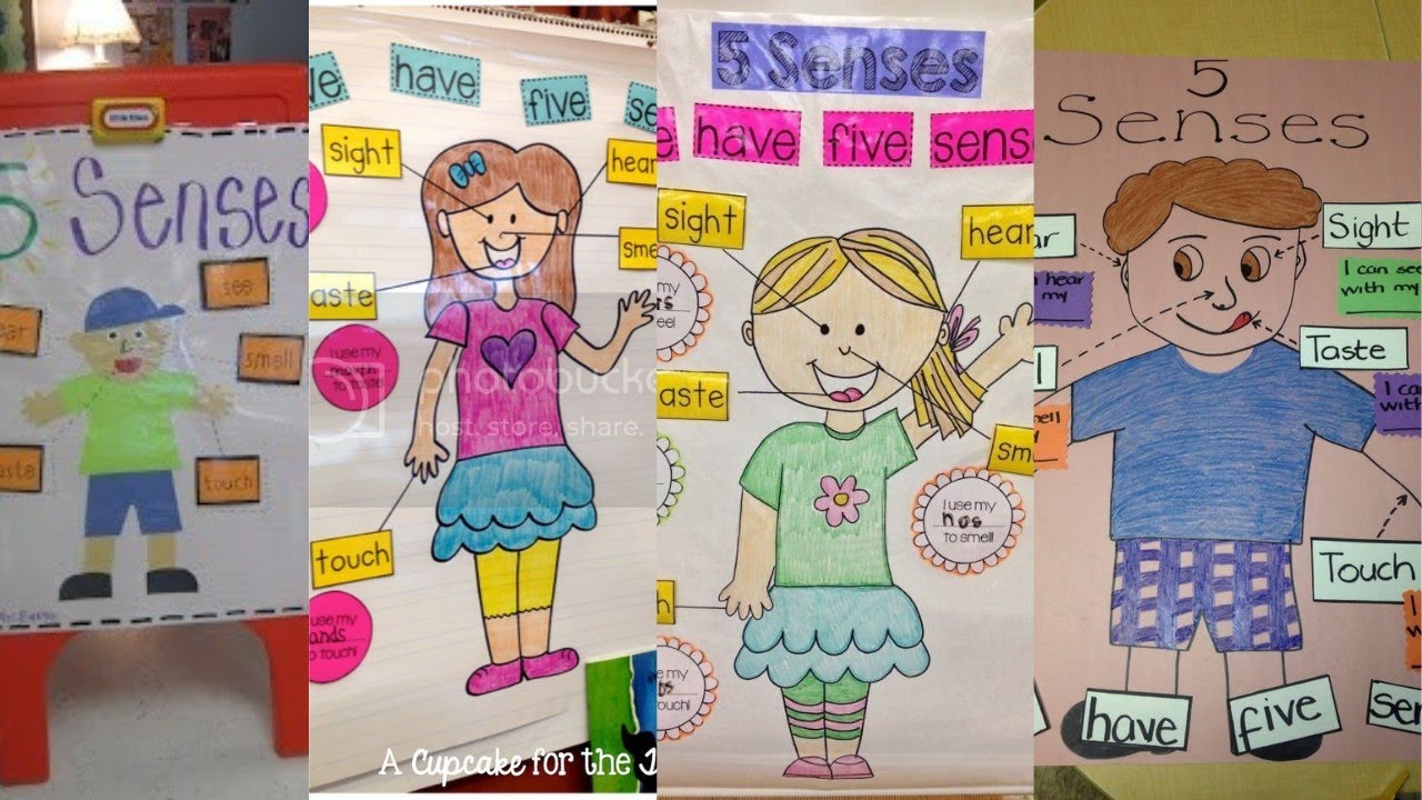 Five Senses Chart