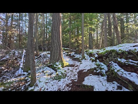 Anacortes-Snow and ice covered ACFL Trail 218. - YouTube