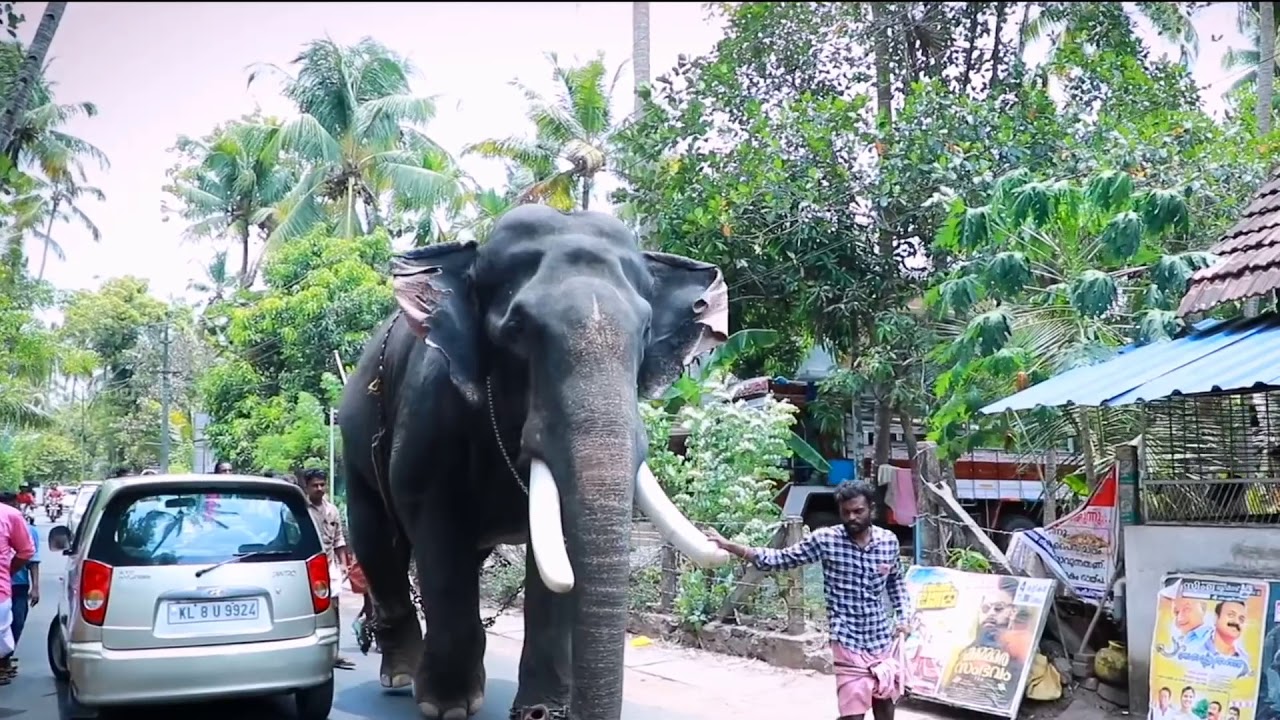 pambadi rajan hd video - YouTube