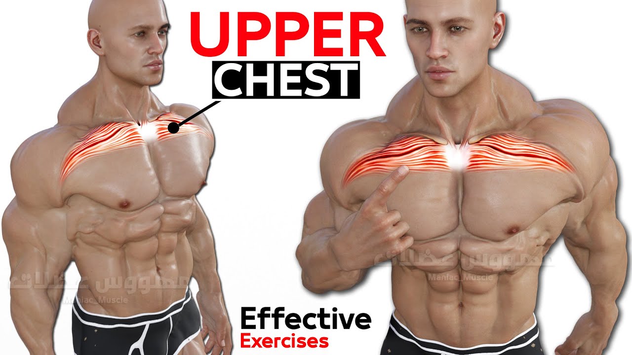 BEST 11 EXERCISES "UPPER CHEST" Workout 🔥 - YouTube