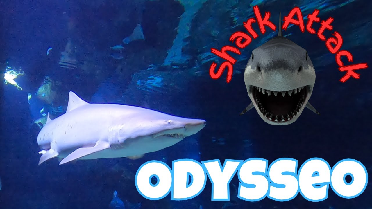 Odysseo Oceanarium | Wildlife in #mauritius | Marine Life | Deep Dive ...