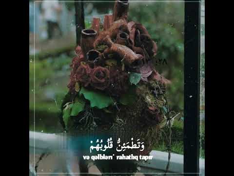 الا بذكر الله تطمين القلوب سورة الرعدالقران كري Status üçün dini video2019-2020 Surah Ar-Rad ayah 28